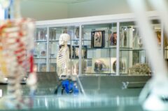 Post Mortem Reconstruction Course - School of Medicine Short Courses